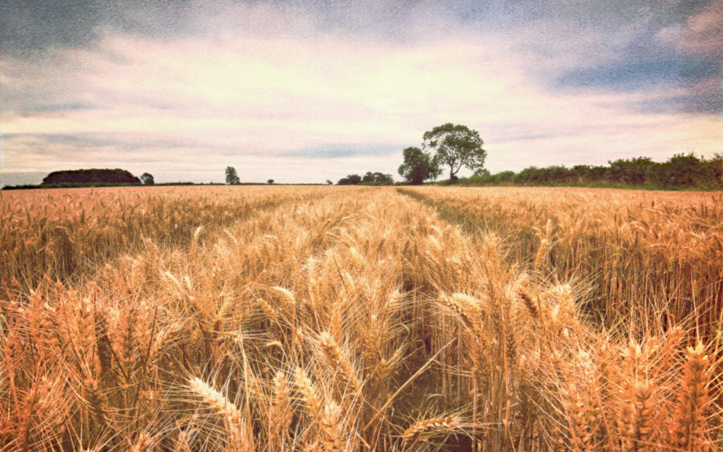 Samuel Packaging Systems Group | Printed Polypropylene Strapping ...